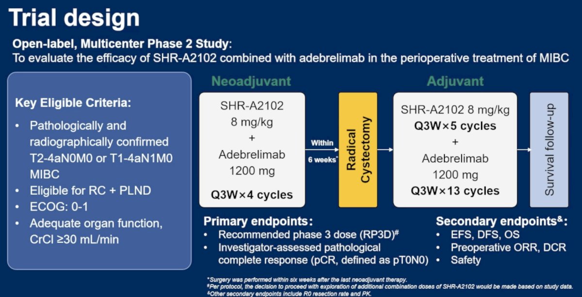 ASCO 2026: Perioperative SHR-A2102, a Novel Nectin-4-Targeted ADC, in ...