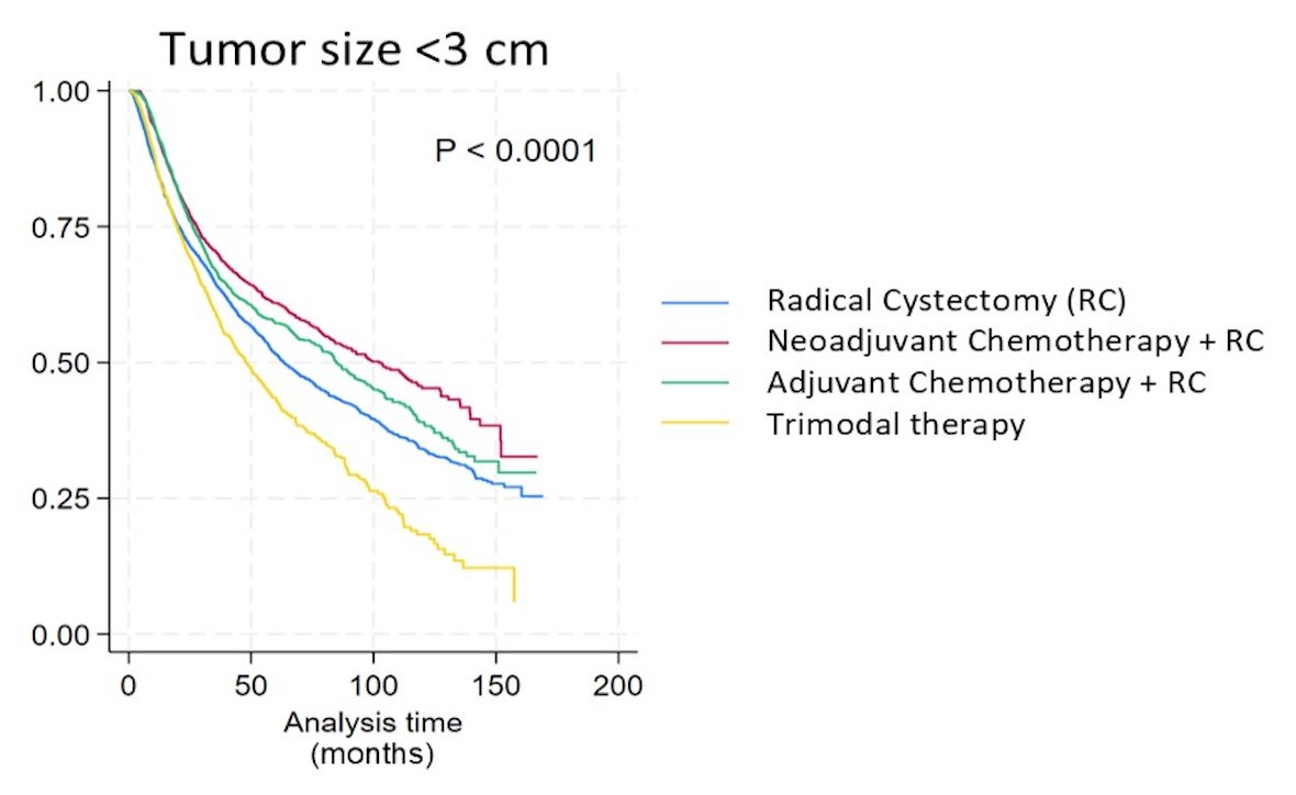 ASCO 2026: Rethinking the Role of Tumor Size in Bladder Preservation ...