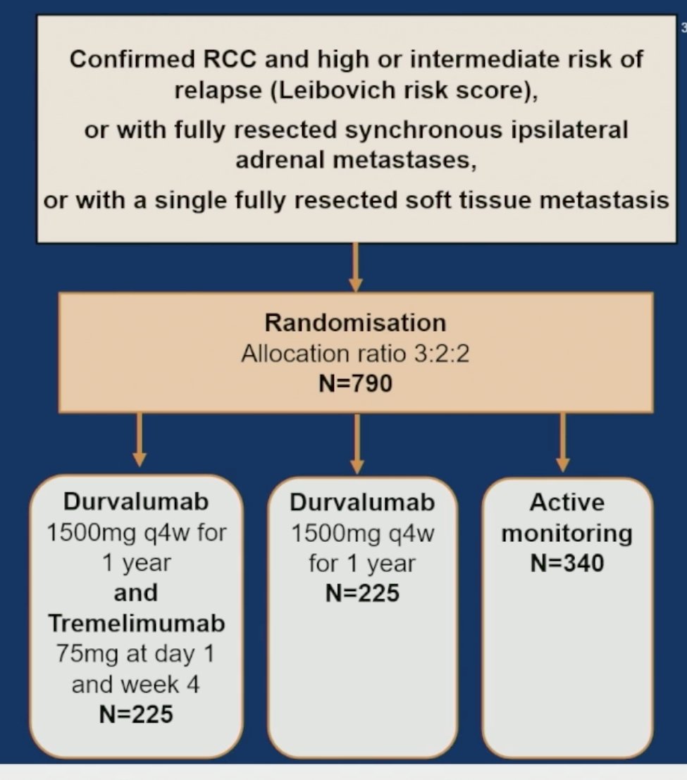 ASCO 2026: Durvalumab Monotherapy Versus Active Monitoring for Resected ...